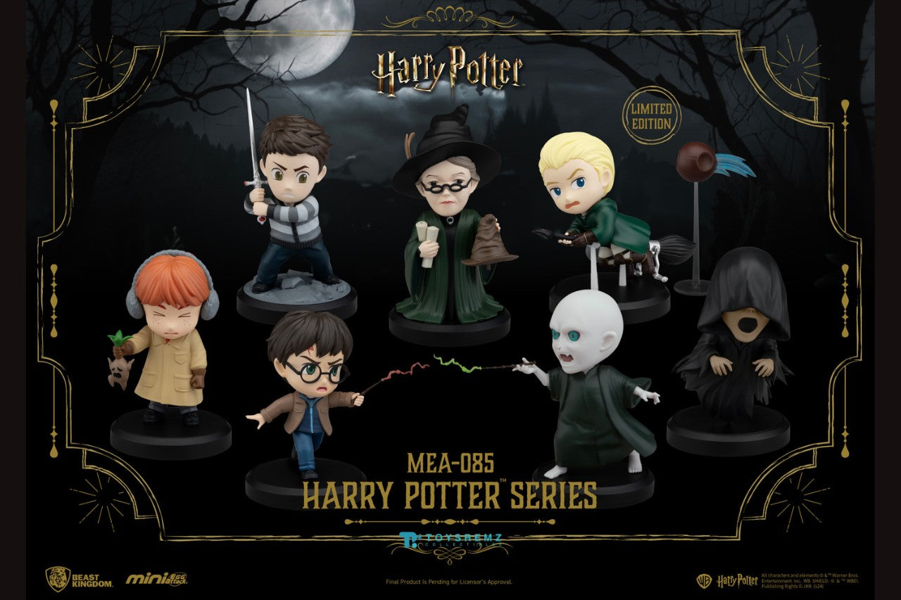 Harry Potter series Blind Box Set (6PCS) – TRZCollectibles